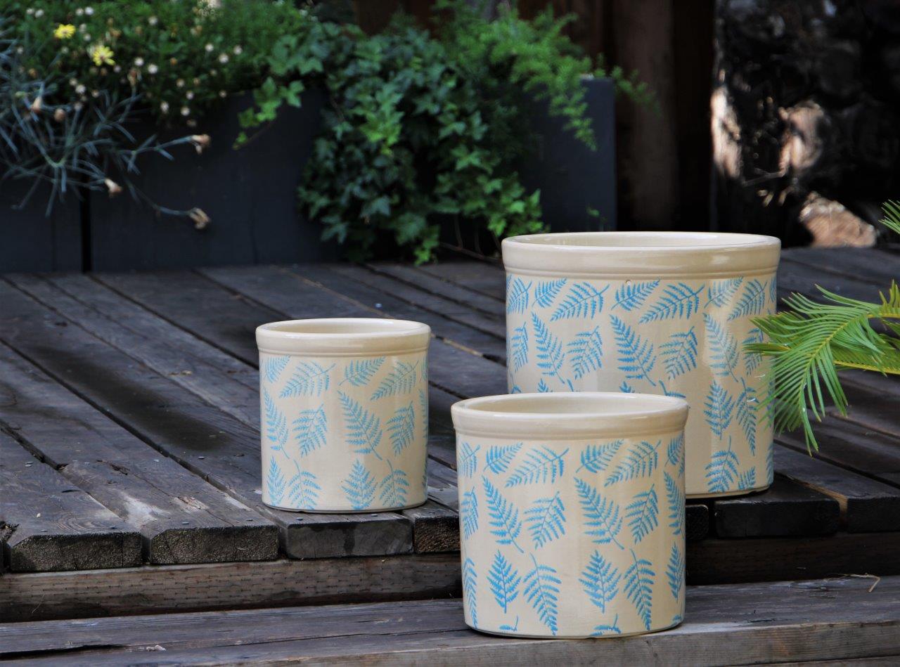 Fern Planters – Pottery & Beyond